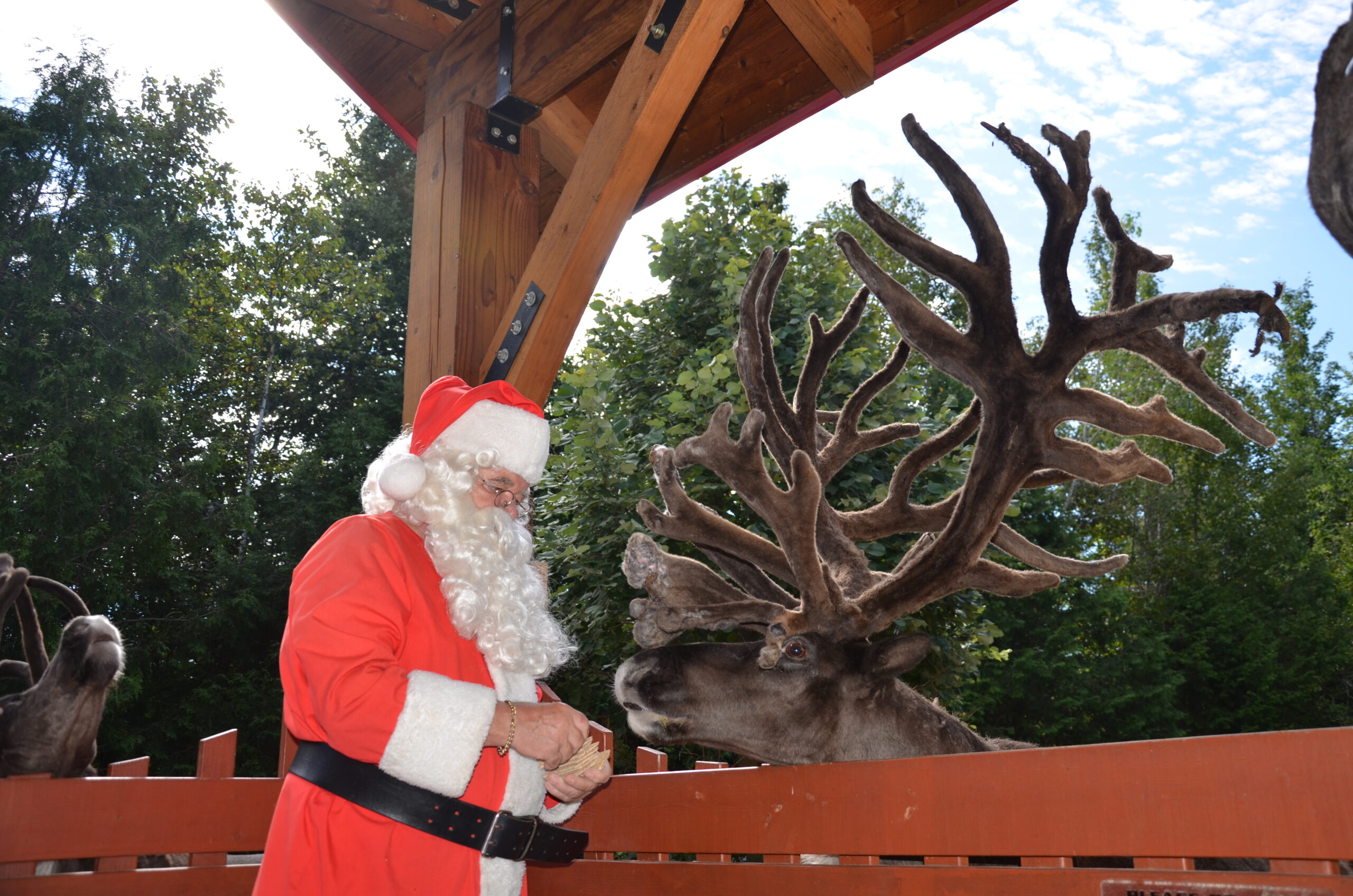 Theme park puts Santa in spotlight - Family Business Magazine