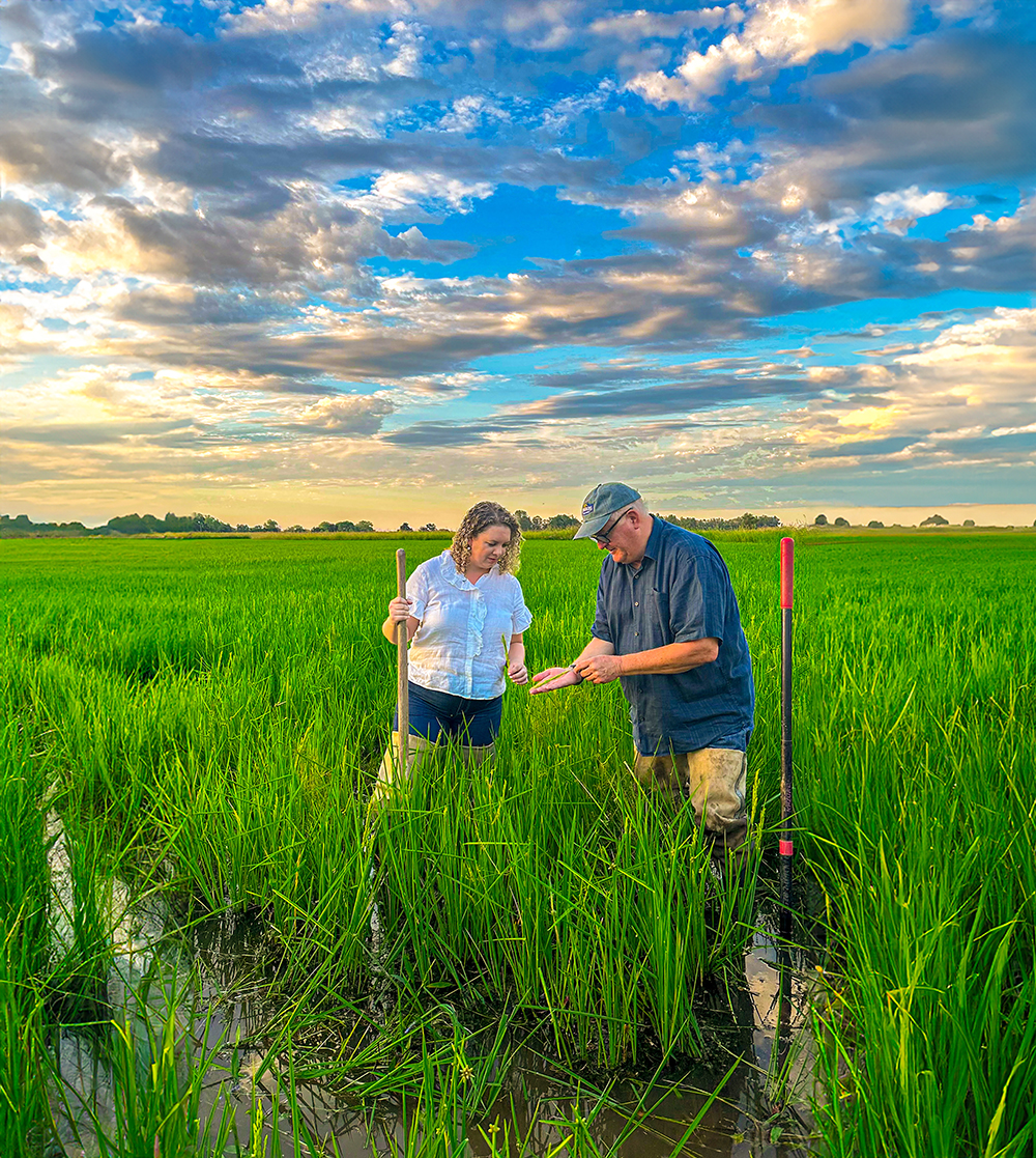 Rooted in values - Family Business Magazine